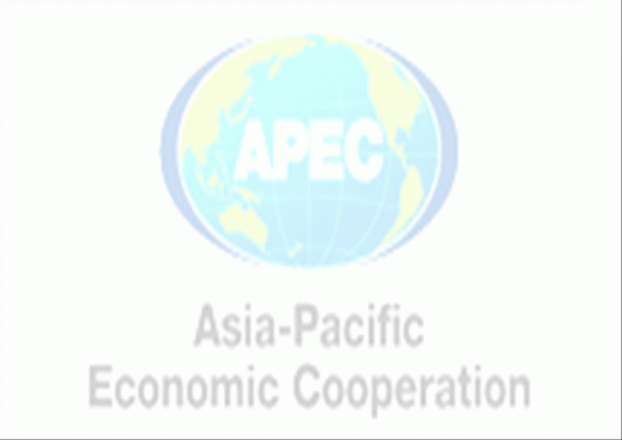 국제기업전략_APEC