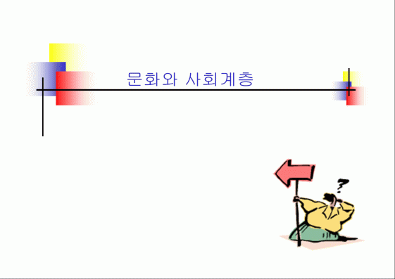 [사회과학] 문화와 사회계층