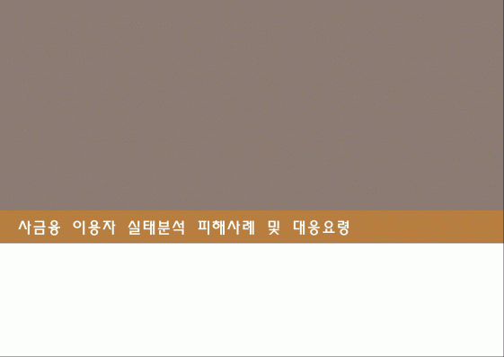 사금융_이용자_실태분석_피해사례_및_대응