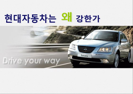 현대자동차 해외진출
