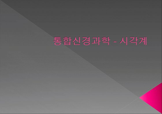 통합신경과학 - 시각계