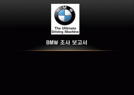 bmw조사보고서