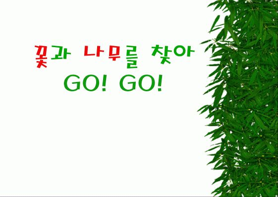 식물 탐구 레포트 자료