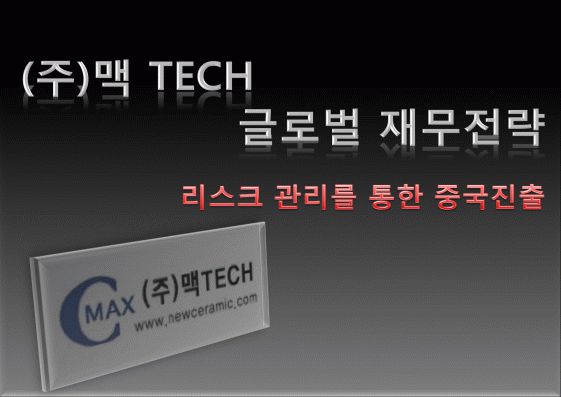 (주)맥 TECH 글로벌 재무전략