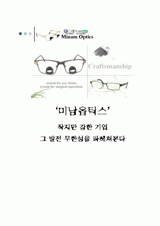 [사회과학] 미남옵틱스