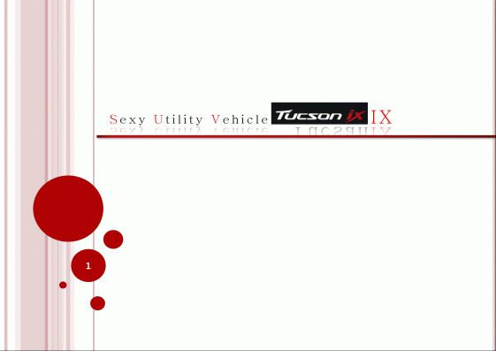 2010투산IX 레포트 자료