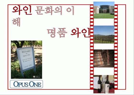 opus one 와인 레포트 자료