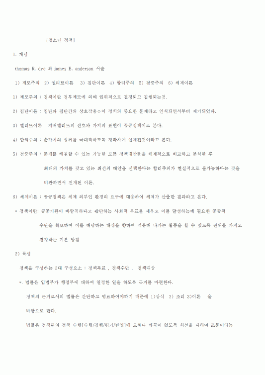 청소년 정책 레포트 자료