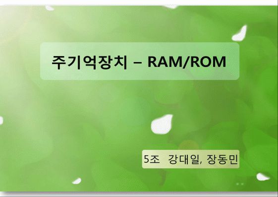 주기억장치인 RAM과 ROM에 대하여