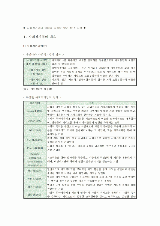 사회적기업의 국내외 사례와 발전 방안 모색