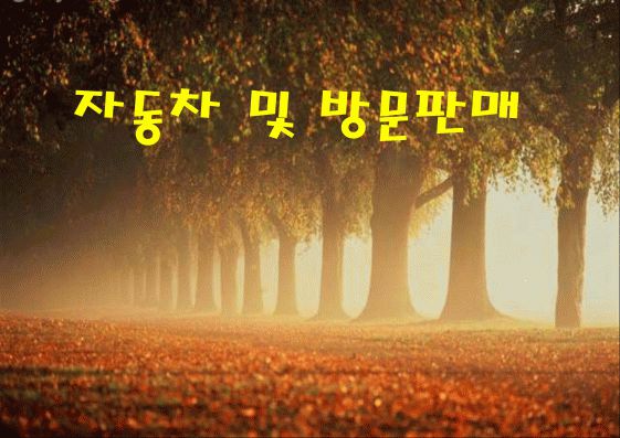 자동차 및 방문판매