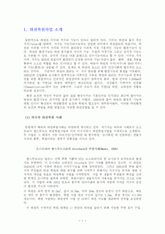 도시계획-하천복원사업, 양재천공원