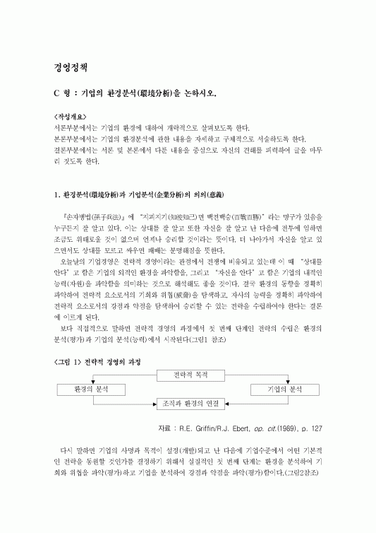 경영정책 - C 형 : 기업의 환경분석(環境分析)을 논하시오.