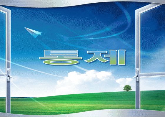 통제의 의미와 과정 통제시스템 구축