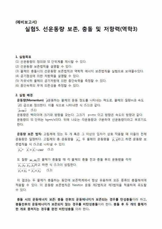 5장_예비보고서