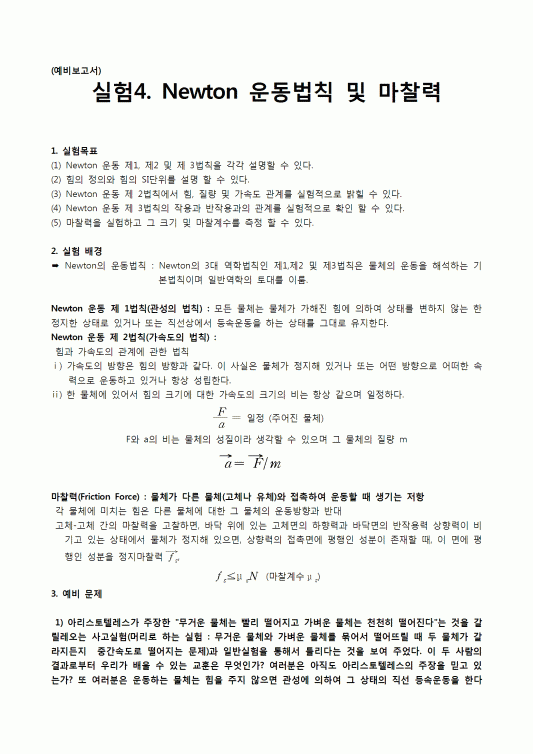 4장_예비보고서