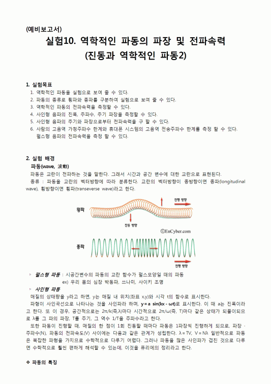 10장_예비보고서