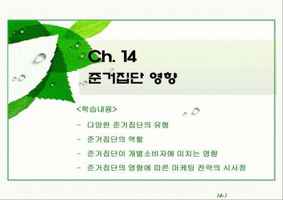 준거집단 영향