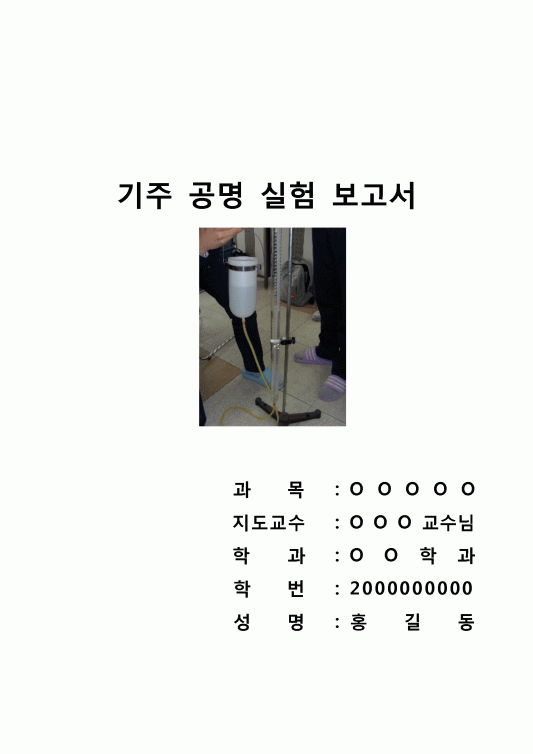 기주 공명 실험 보고서