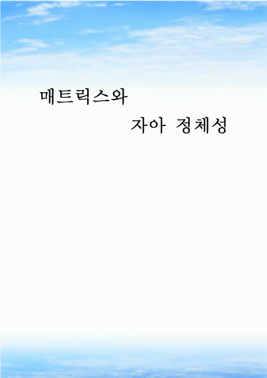 매트릭스와 자아정체성