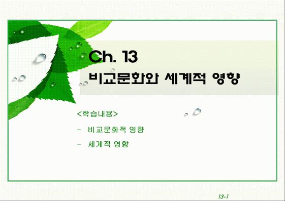 비교문화와 세계적 영향