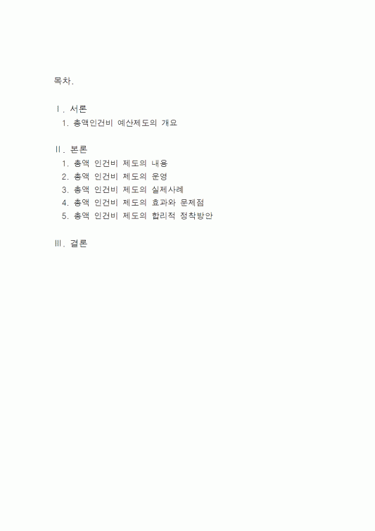 총액인건비제 보고서