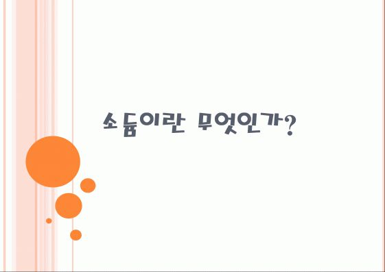 소듐(sodium) 레포트 자료