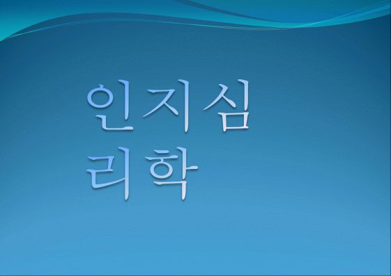 인지심리학 (2)