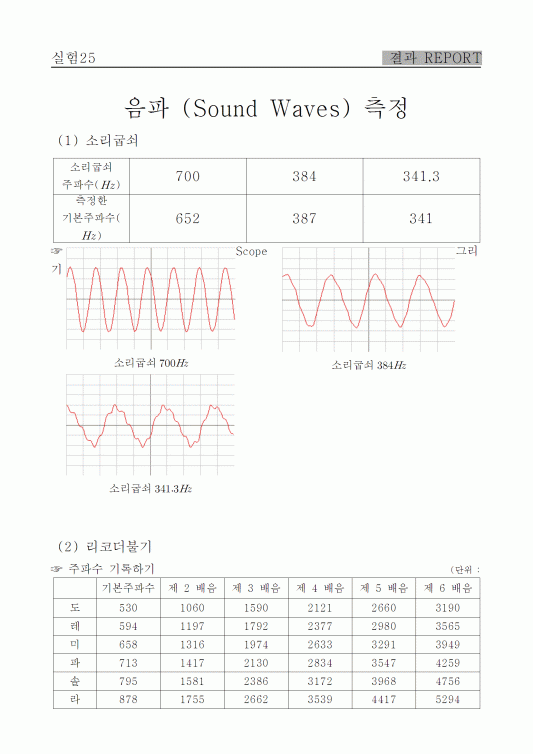 실험 25 음파 (Sound Waves) 측정