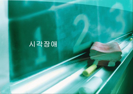 시각장애발표