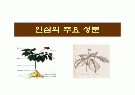 인삼의 주요 성분