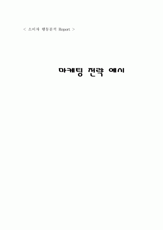 마케팅 전략 예시