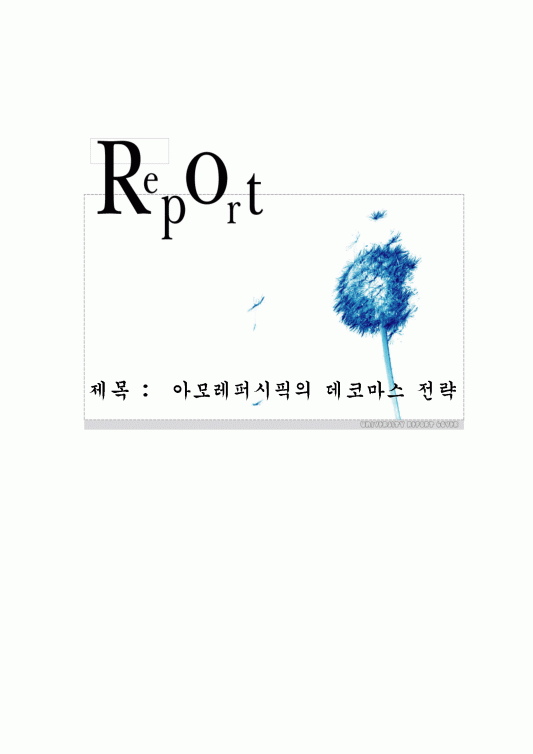 아모레퍼시픽의 데코마스 전략
