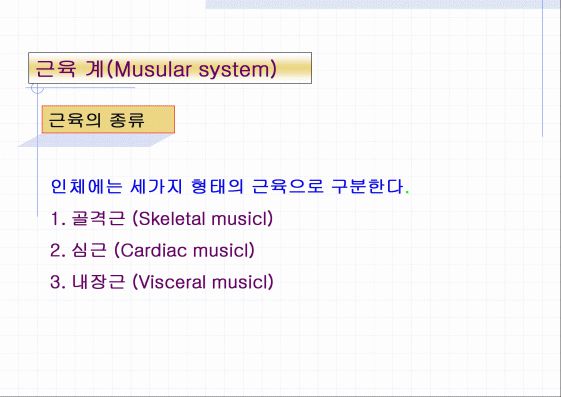 근육 계(Musular system)