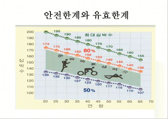처방 - 안전한계와 유효한계