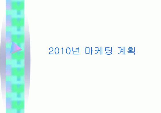 2010년 마케팅 계획