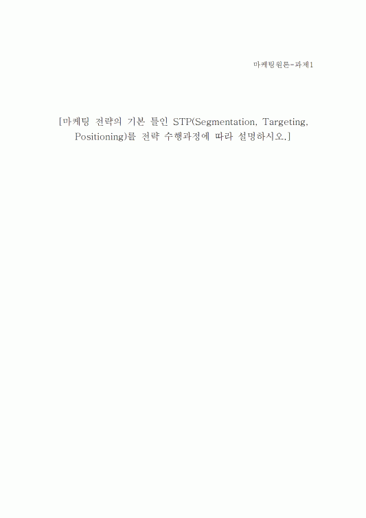 마케팅원론-STP전략수행과정