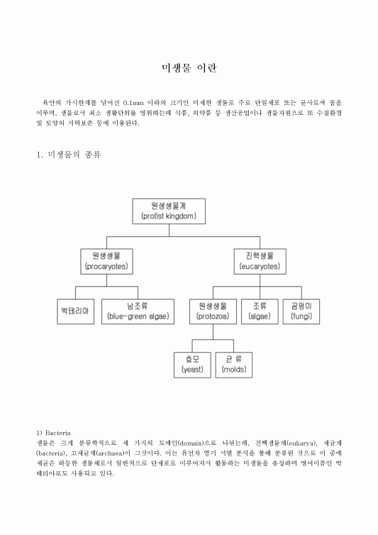 미생물 이란 레포트 자료