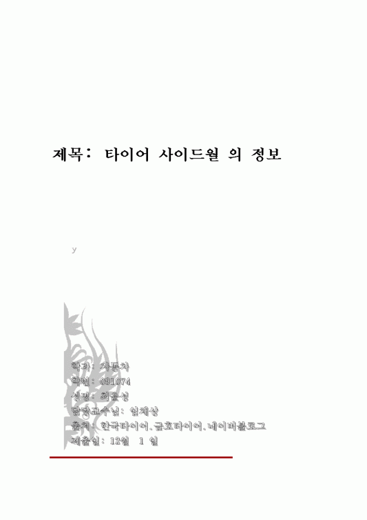 타이어의사이드윌