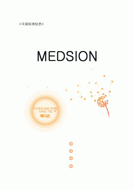 [국제마케팅론]메디슨 국제시장진출 전략분석