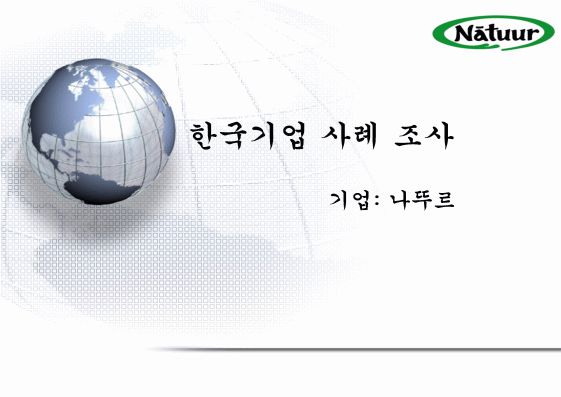 한국기업 사례조사 - 아이스크림 나뚜루(Natuur)