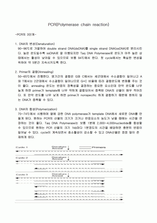 pcr 레포트 자료