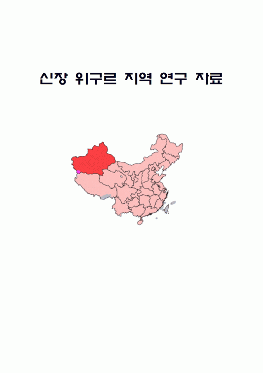 신장위구르지역연구