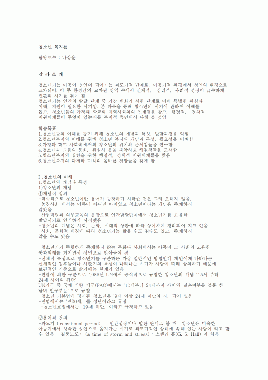 청소년복지론-중간교안