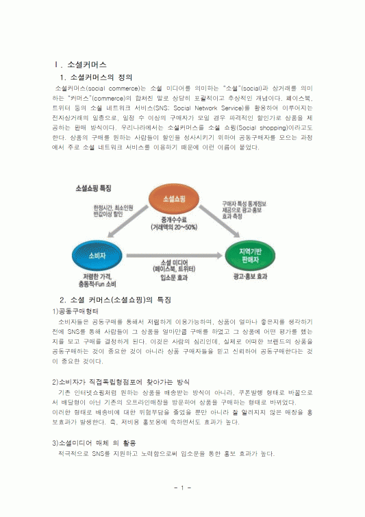 소셜커머스에 대한 내용과 이해 그리고 문제점들