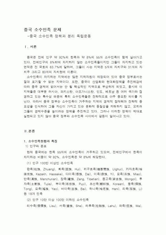중국 소수 민족 문제