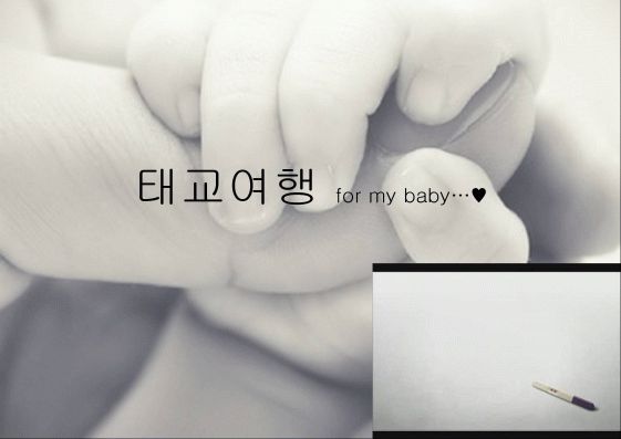 태교여행 상품개발