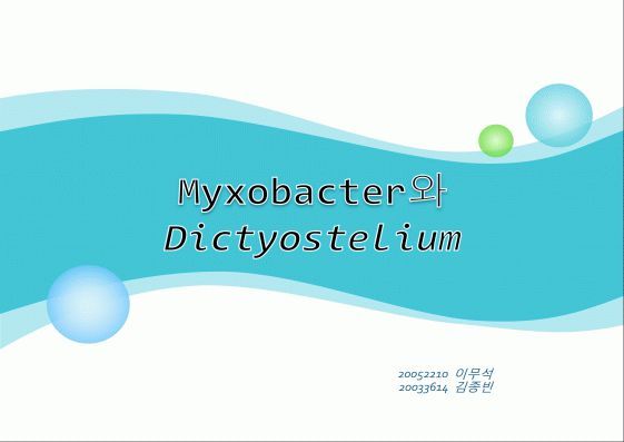 Myxobacteria와 Dictyostelium