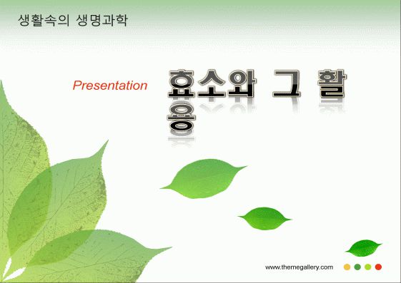 효소와 효소의 활용