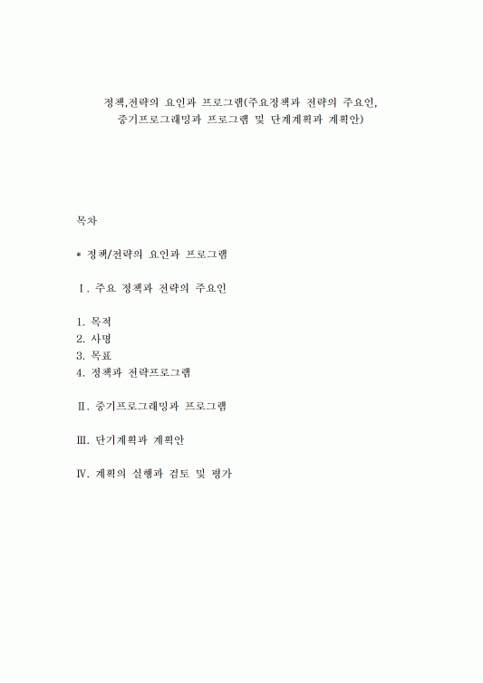 정책,전략의 요인과 프로그램(주요정책과 전략의 주요인, 중기프로그래밍과 프로그램 및 단계계획과 계획안)